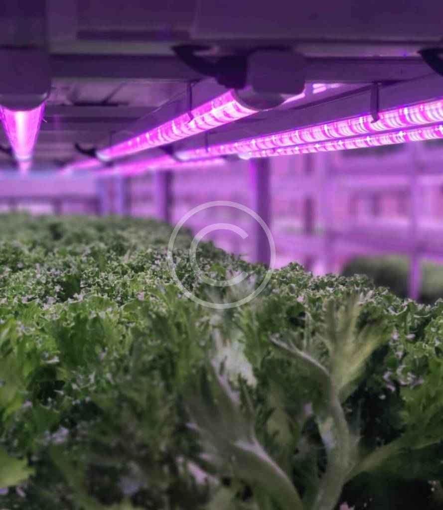 Product Showcase - Förster-Technik