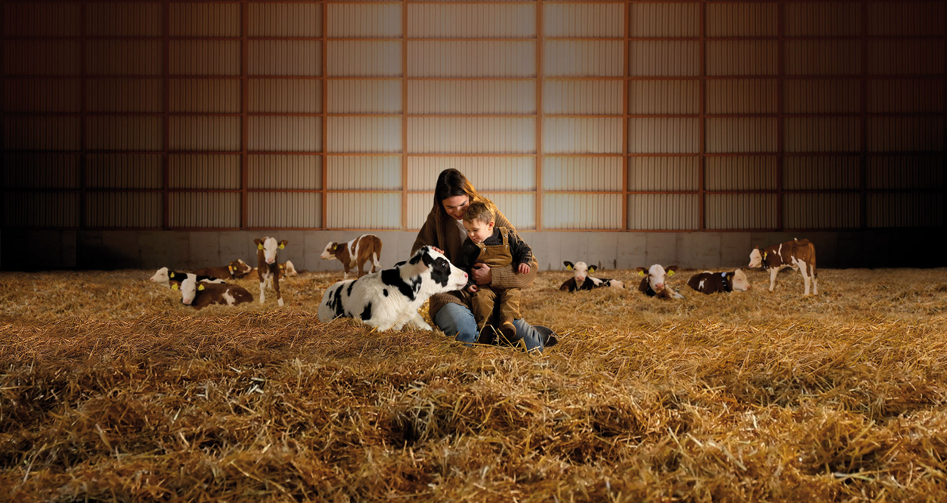 Download - Förster-Technik